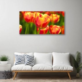 Obraz na plátně Tulipány Květiny Rostlina 120x60 cm