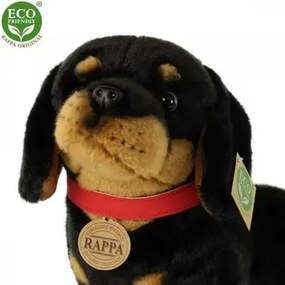 RAPPA Plyšový pes jezevčík 30 cm / ECO-FRIENDLY / od 0 měsíců
