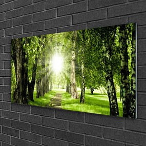 Obraz na skle Les Slunce Stezka Příroda 120x60 cm