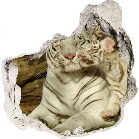 Wallmuralia Díra 3D fototapeta nálepka Tygři 75x75 cm