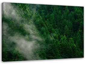 Obraz na plátně Zelený mlžný les Příroda - 120x80 cm