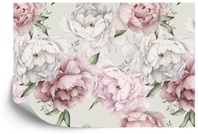 Fototapeta Pivoňkové Květiny V Pastelových Barvách Hladký vinyl 270x180