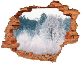 Wallmuralia Díra 3D ve zdi nálepka Stromy zima 90x70 cm