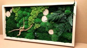 OznTo Obraz mechu a rostlin,3velikosti,3barvy Barva rámečku: Přírodní, Rozměr rámečku: 80x40cm