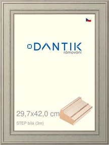 DANTIK rámeček 29,7x42 | STEP bílá (Plexi Čiré)
