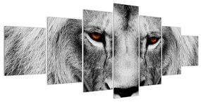 Černobílý obraz lva (210x100 cm)
