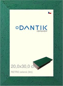 DANTIK rámeček 20x30 | RETRO zelená (Sklo Čiré)