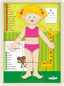 Woody Puzzle Lidské tělo - Holka EN / od 3 let