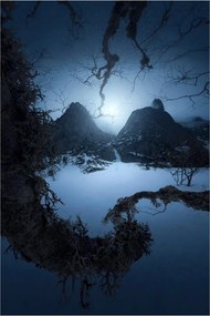 Filip Hrebenda | Octopus Rám: Bez rámu, Velikost: 70 x 50 cm
