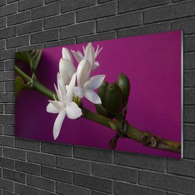 Obraz na skle Květiny Úhonky Příroda 140x70 cm