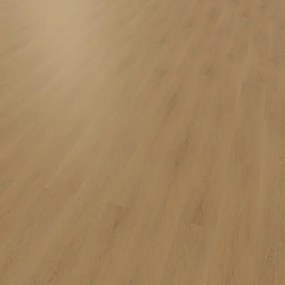 Vinylová plovoucí podlaha Area Floors Wood Click Rigid 5304 Dub merit 1 m²
