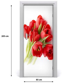Fototapeta samolepící Červené tulipány 85x205 cm