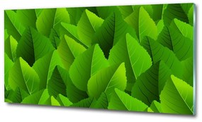 Wallmuralia Fotoobraz na skle Zelené listí 100x50