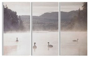 3 dílný set bezrámových obrazů 105382, Swan Lakeside, Labutě na jezeře, Wall Art, Graham & Brown