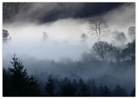 Obraz mlhy nad lesem (70x50 cm)