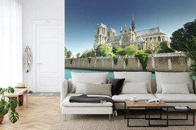 Fototapeta Paříž – Notre-Dame Samolepící tapety 270x180
