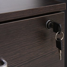 Vinsetto Mobilní Kancelářská Skříň na A4 s Kolečky - Skříň s 2 Zásuvkami a Zámkem 40x45x55,6 cm Wengué