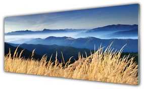 akrylový obraz Pole Krajina 125x50 cm