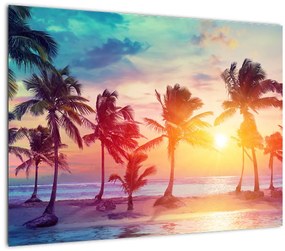 Skleněný obraz - Tropický západ slunce (70x50 cm)