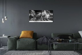 Obrazy na plátně Dámská Baleríny kouř 100x50 cm