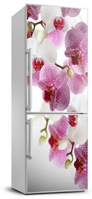 Wallmuralia Nálepka fototapeta na ledničku Orchidej 60x180 cm