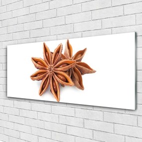 Plexisklo-obraz Anýz Hvězda Příprava 125x50 cm