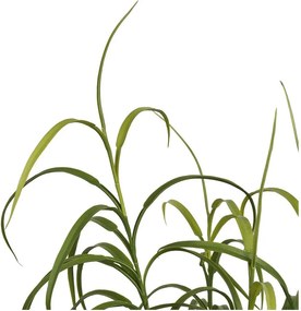 Umělá rostlina (výška 89 cm) Grass – House Nordic