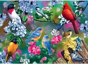 MASTERPIECES Puzzle Audubon: Koláž zpěvných ptáků / 1000 dílků / 68x49