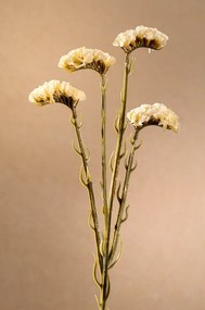 Paramit DRY STATICE Aranžovací květina bílá 64 cm