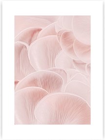 Plakát Pastel Pink I