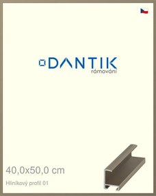 DANTIK rámeček 40x50 | ALU profil 6001 champagne (Plexi Čiré)
