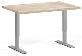 Výškově nastavitelný pracovní stůl do dílny, 2 motory, 1200 x 800 x 760-1230 mm, šedá podnož