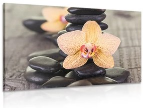 Obraz žlutá orchidej a Zen kameny