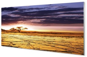 Obraz na skle Mraky strom nebe 100x50 cm