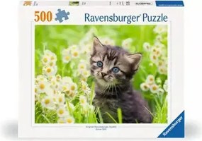 Ravensburger Kotě na louce / 500 dílků / od 12 let