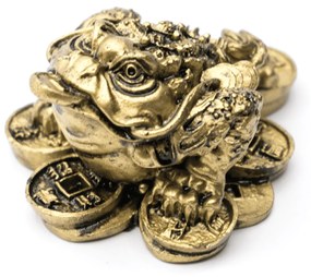 Milujeme Kameny Třínohá žába na mincích - soška Feng shui - malá