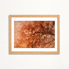 Jiří Hřebíček | Enchanted in Autumn Rám: Černý, Velikost: 20 x 30 cm