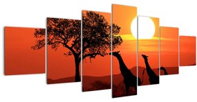 Obraz žiraf při západu slunce (210x100 cm)