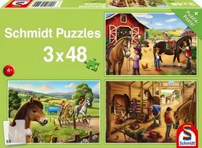 SCHMIDT Puzzle Moje oblíbení koníci / 3x48 dílků / 26,3 x 17,8 cm