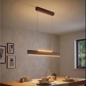 Eglo 39346 - LED Lustr na lanku CLIMENE LED/17W/230V + LED/4,2W ořech