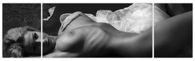 Obraz - Akt ležící ženy (170x50 cm)