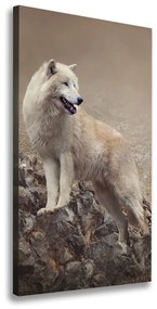 Wallmuralia Vertikální Foto obraz canvas Vlk na skále 50x100