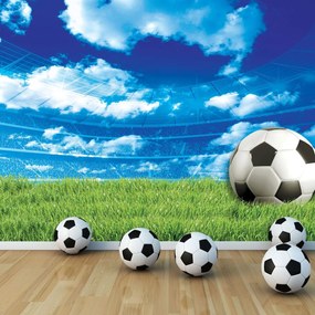 Fototapeta - Fotbal na trávě (152,5x104 cm)