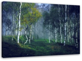 Obraz na plátně Březový les v mlze Krajina - 100x70 cm