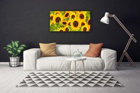 Obraz na plátně Slunečnice 125x50 cm