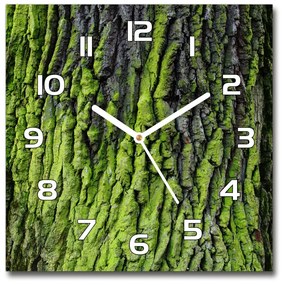 Wallmuralia Skleněné hodiny čtverec Kůra stromu 30x30 cm