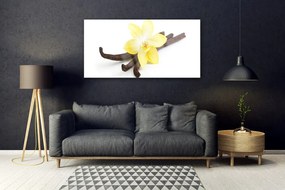 akrylový obraz Vanilka Rostlina Příroda 120x60 cm