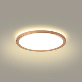 Brilagi - LED Koup. str. svít. ULTRA SLIM LED/18W/230V pr. 30 cm rose gold IP54