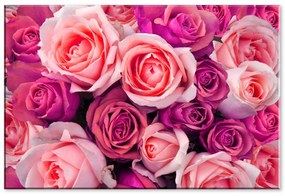 Obraz květy růží Velikost (šířka x výška): 90x60 cm