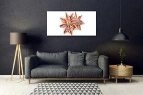 Obraz na skle Anýz Hvězda Příprava 100x50 cm